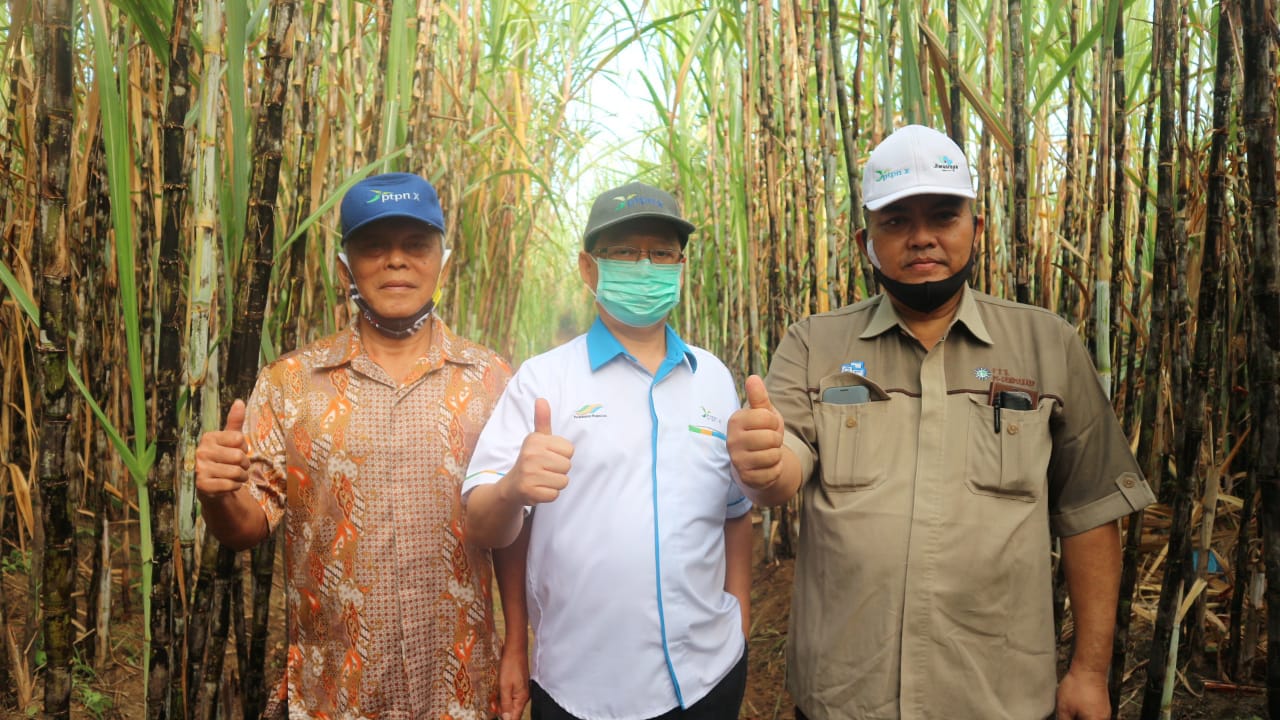 Rektor UMG Gandeng PTPN X dan APTR Siapkan Panen Perdana Tebu Varietas Baru